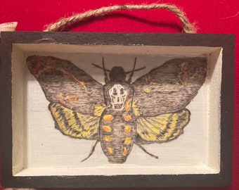 Death Moth Shadow Box - Etsy