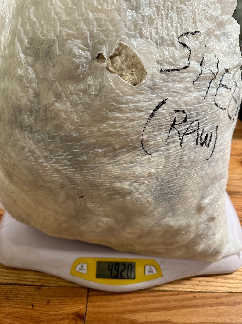 Raw Organic Sheep Wool: 4.92 Lbs for Spinning, Weaving, Felting - Etsy