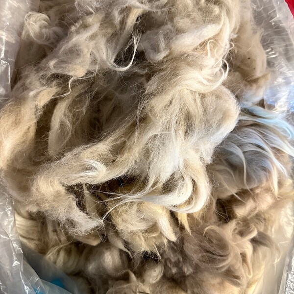 Alpaca Fleece for Felting - Etsy
