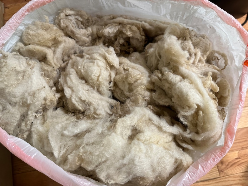 Raw Organic Sheep Wool: 4.92 Lbs for Spinning, Weaving, Felting - Etsy