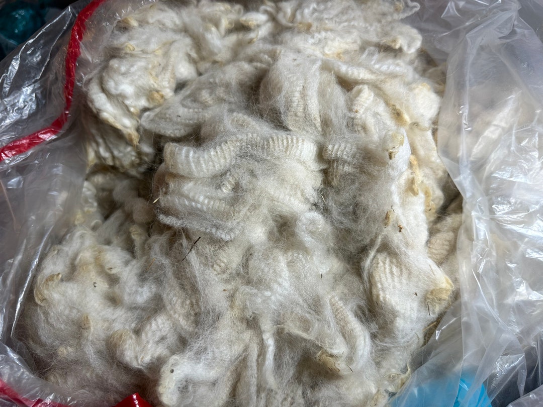 Raw Sheep Wool Fiber: Spinning, Knitting, Felting (41.2 Oz/2.58 Lbs) - Etsy