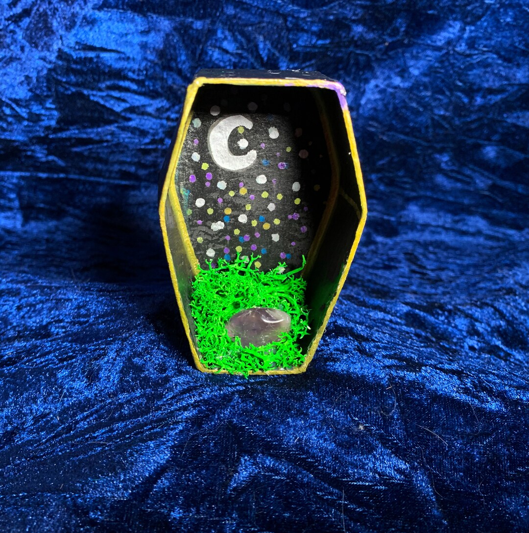 Coffin Moon Moss Crystal Display Coffin Home Decor Gothic Coffin Decor ...