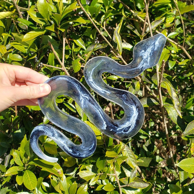 Snake Wall Art - Etsy