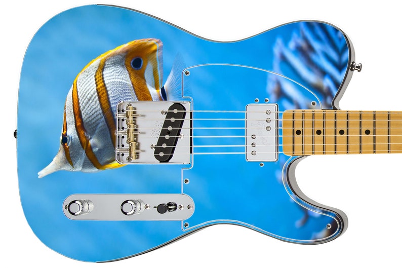 Guitar Skin Axe Wrap Re-skin DIY Angel Fish Nemos Cousin 356 - Etsy