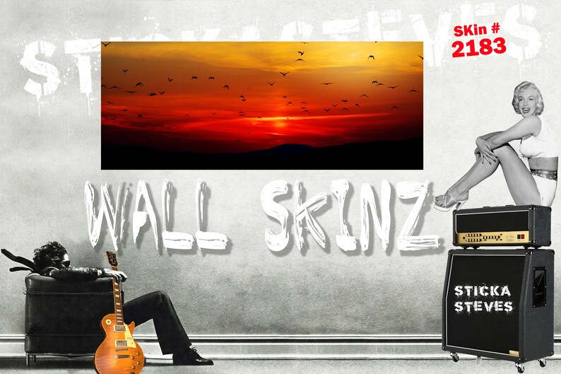 Showcase Skins Removable Wall Décor Display Panes Wall Skin - Etsy