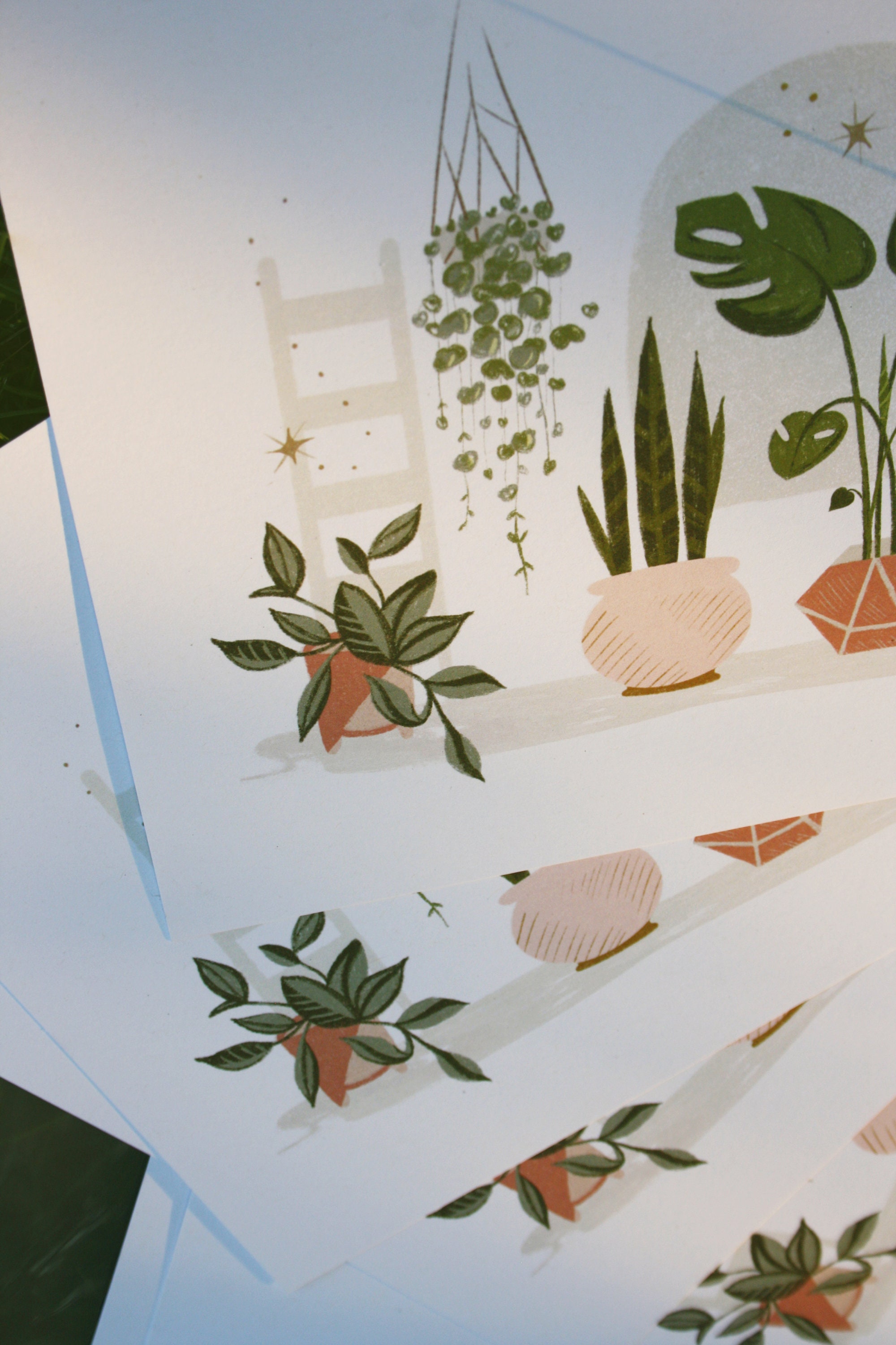 House Plant Print Plants and Windows Illustrated - Etsy
