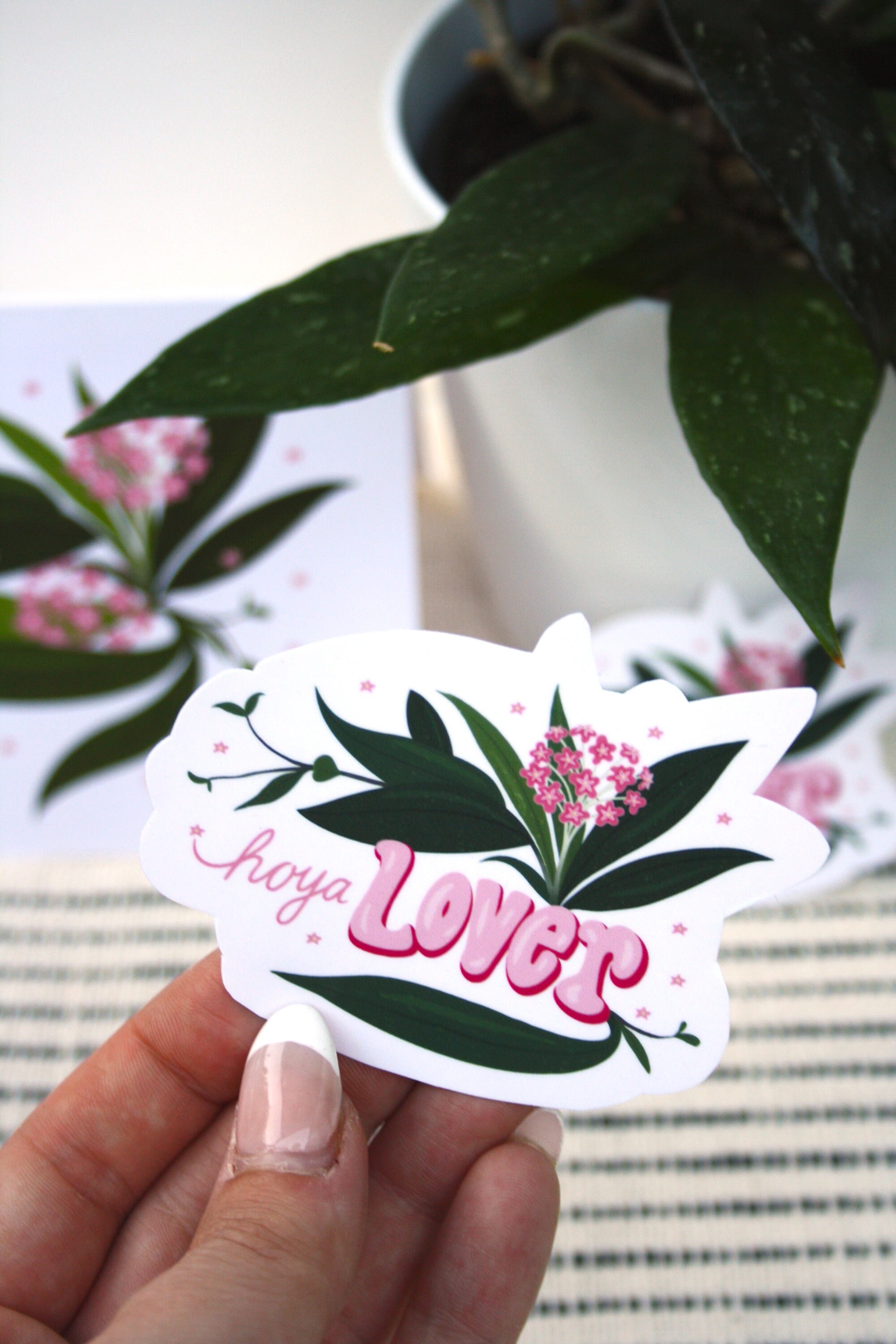 Hoya Lover Sticker Waterproof Die-cut Glossy Vinyl Sticker - Etsy
