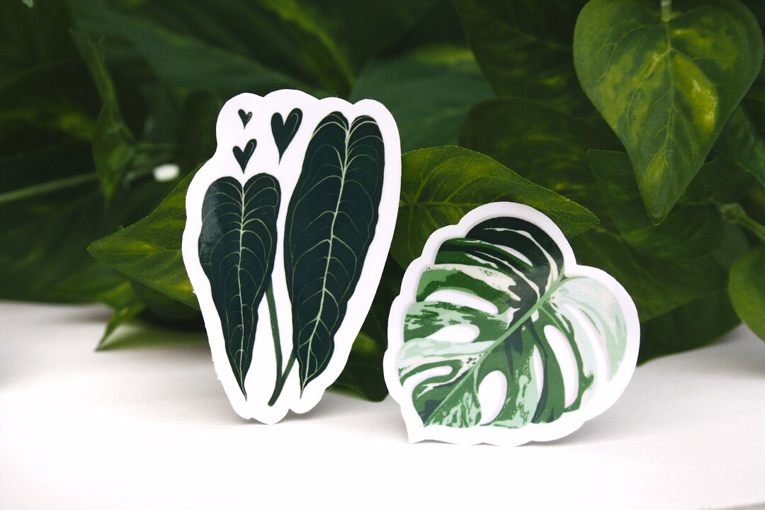 2-pack Leafy Sticker Bundle Waterproof Die-cut Glossy Vinyl Stickers ...