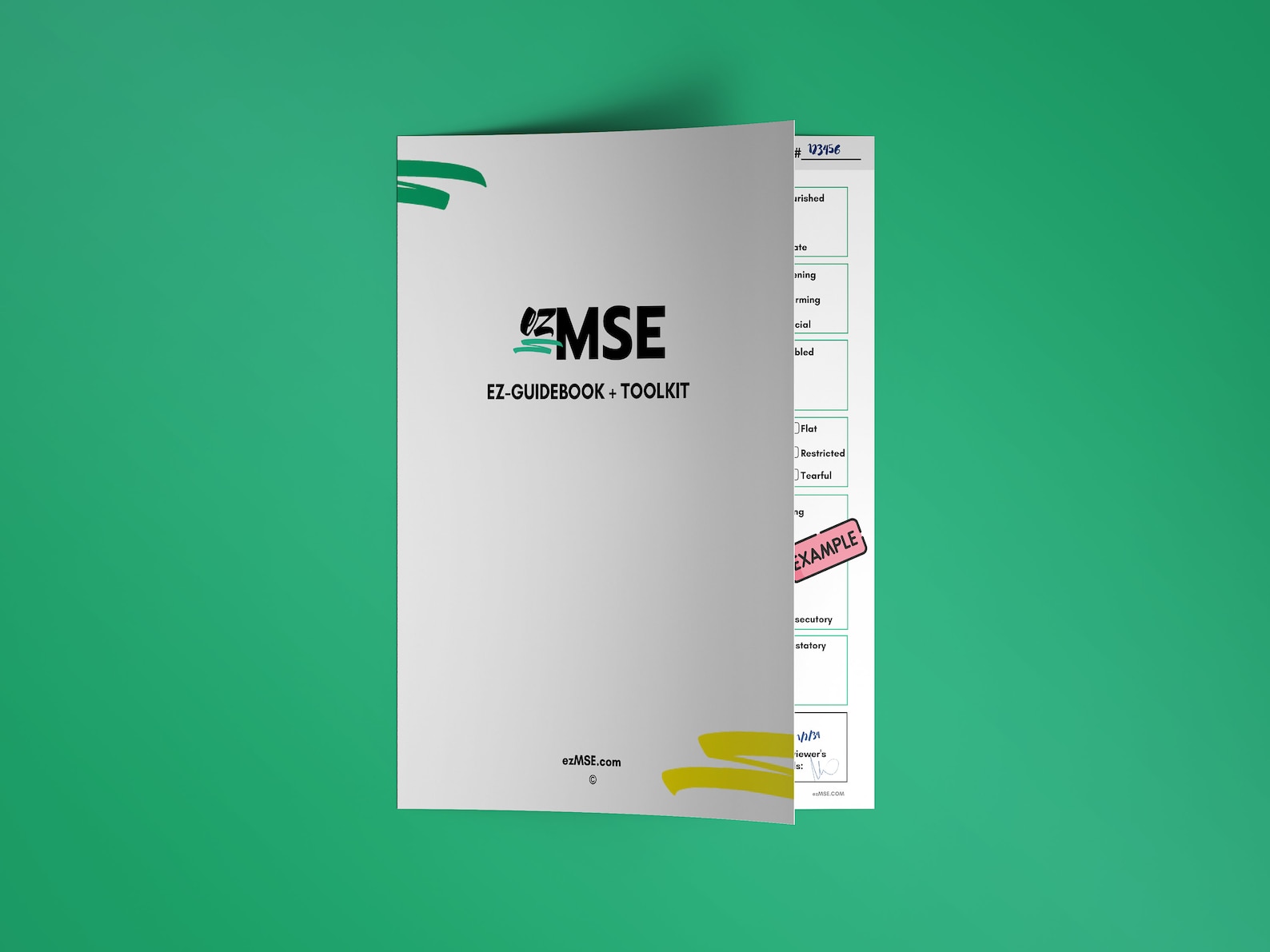 Ezmse: Mental Status Exam Sheets, MSE Writing Guide, MSE Checklist, and ...