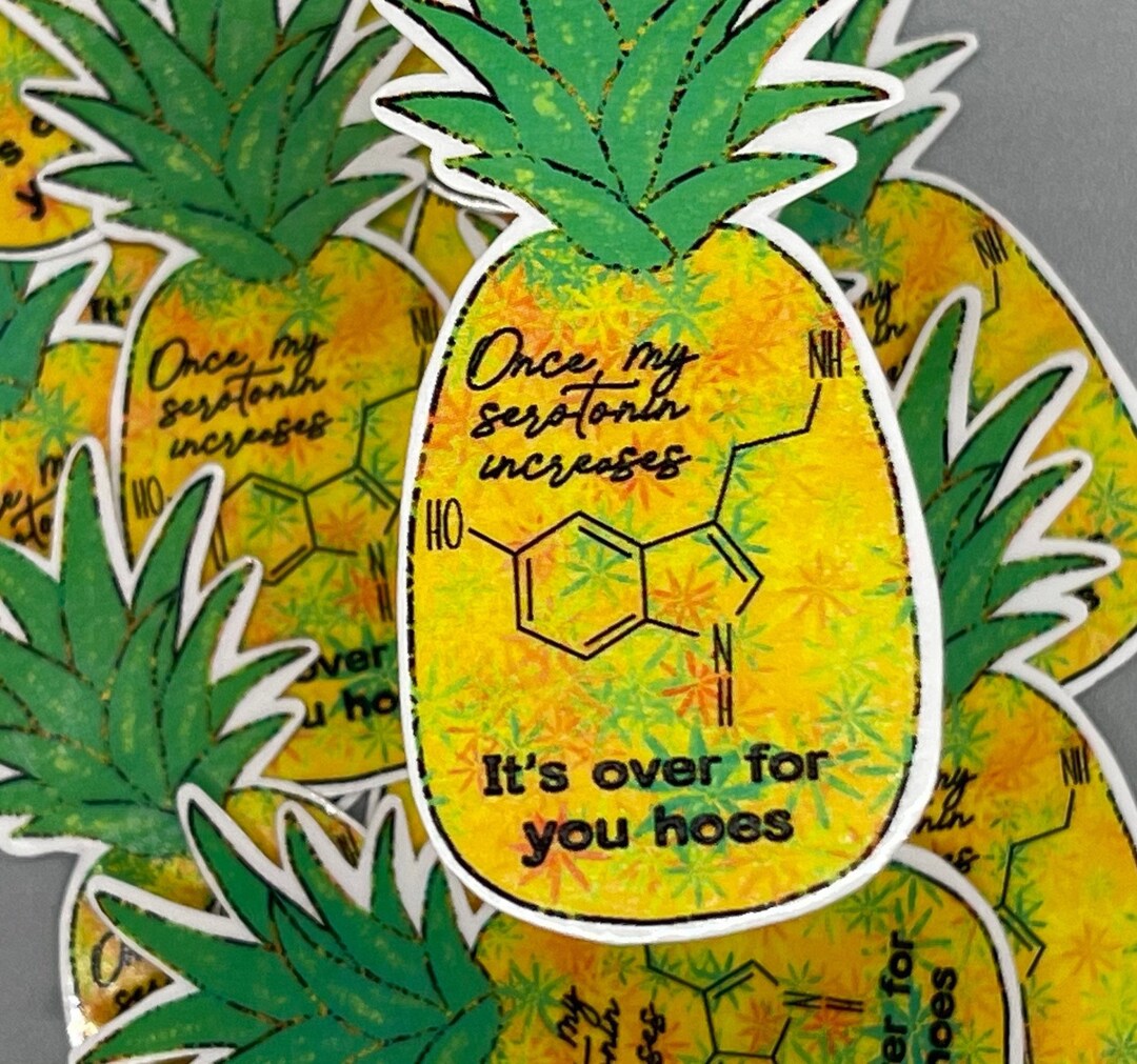 Mental Health Sticker Pineapple Funny & True Pharmacy Sticker Once My ...