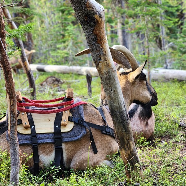 Pack Saddle - Etsy