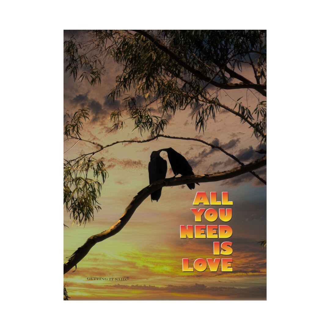Lovebirds Wall Art Poster, Rolled Posters, Two Crows Kissing, 18x24 ...