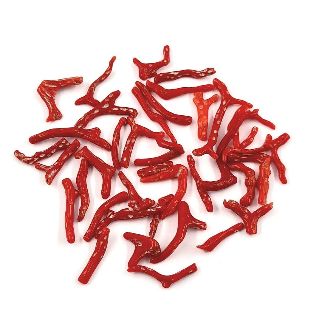 Genuine Natural Italian Red Coral Stick , 100% Natural Italian Red ...