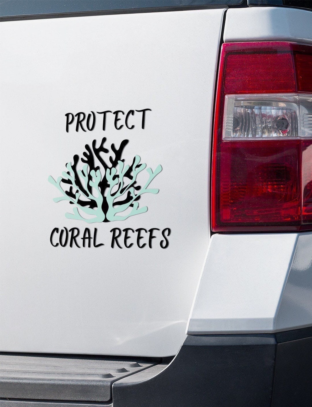 Protect Coral Reefs Vinyl Car Decal Boat Decal Car - Etsy
