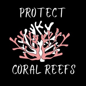 Protect Coral Reefs Vinyl Car Decal Boat Decal Car - Etsy