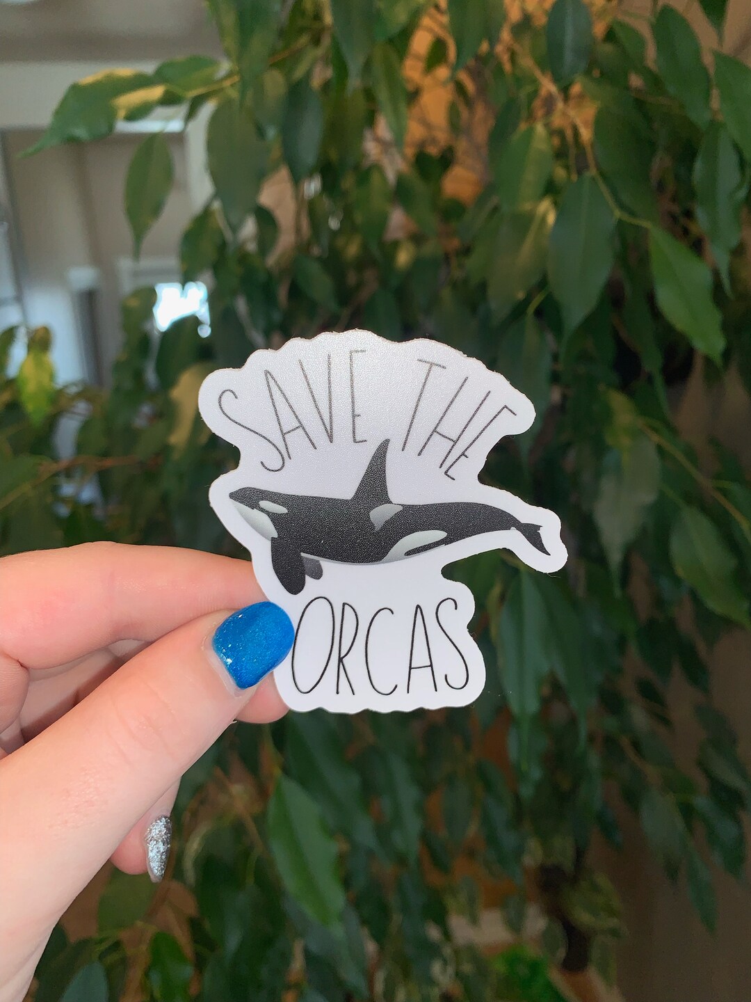 Save the Orcas Vinyl Sticker - Etsy