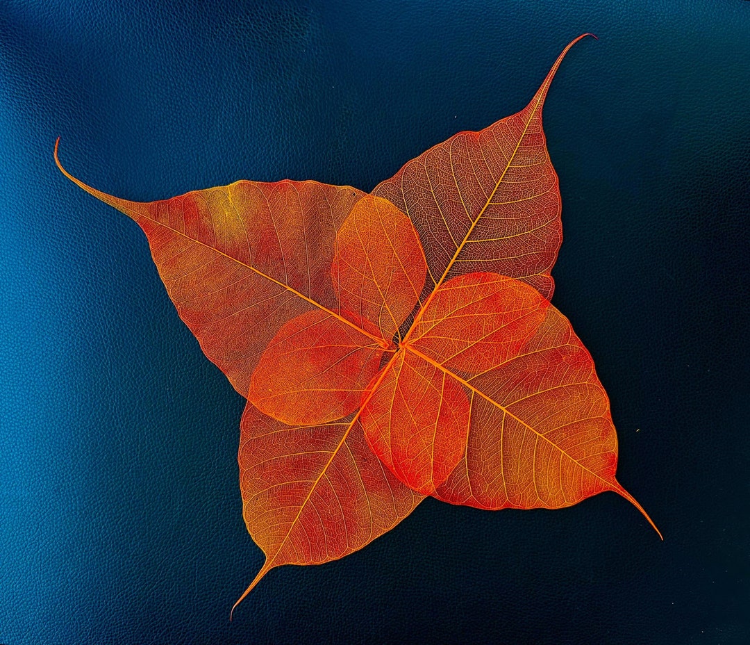 Orange Bodhi Skeleton Leaves, Wedding Cake Decor, Art Craft - 30pcs - Etsy