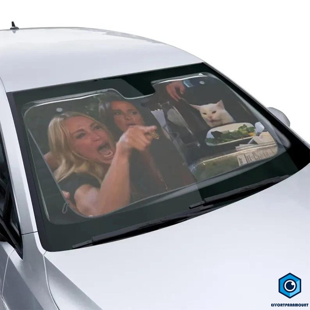 Angry Woman Yelling at Cat Car Sun Shade, Viral Meme Windshield Cover ...