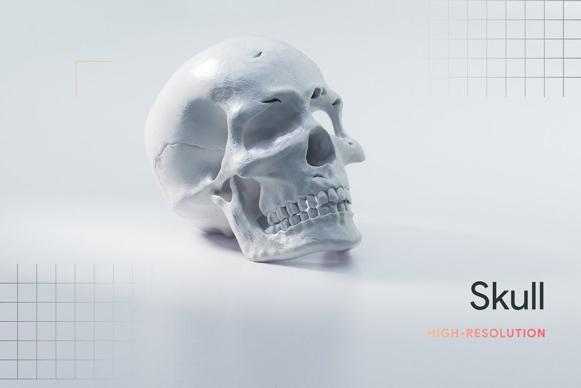 3D Models for Procreate Bundle - Etsy