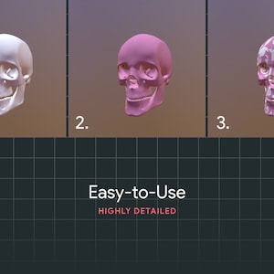 3D Models for Procreate Bundle - Etsy