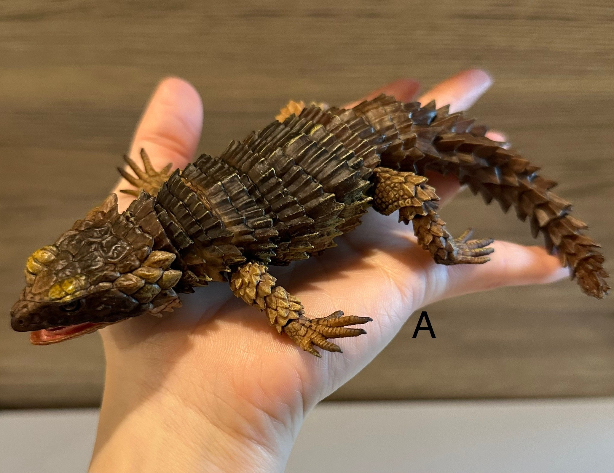 Calypso Drink Lizard