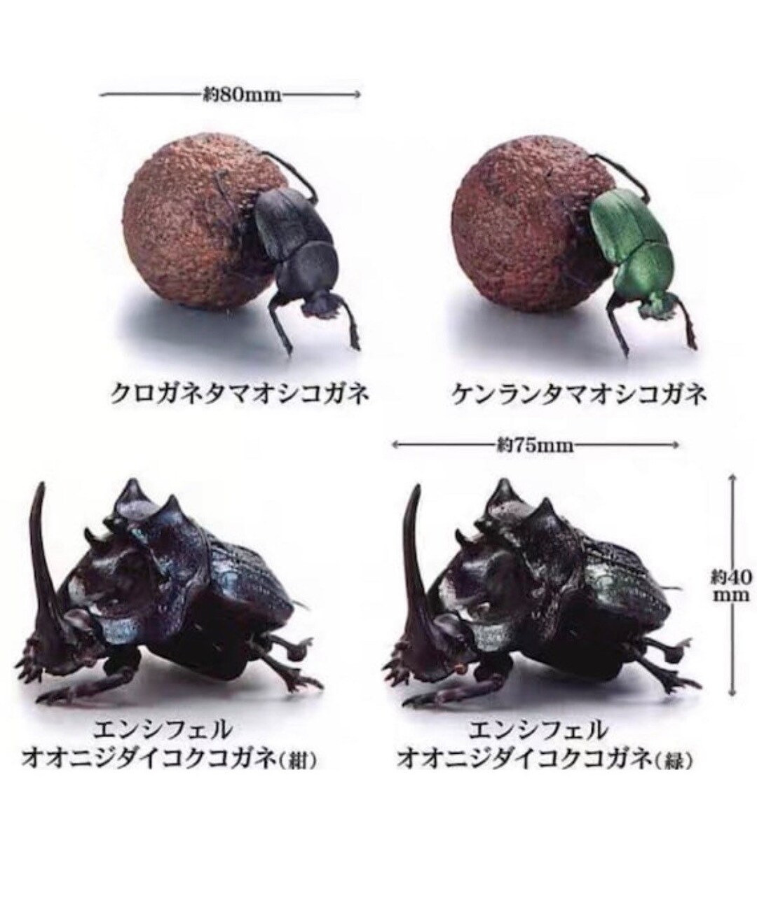 Miniature 1:1 Dung Beetle Scarab Beetle Encifer Beetle Novelty Gift ...
