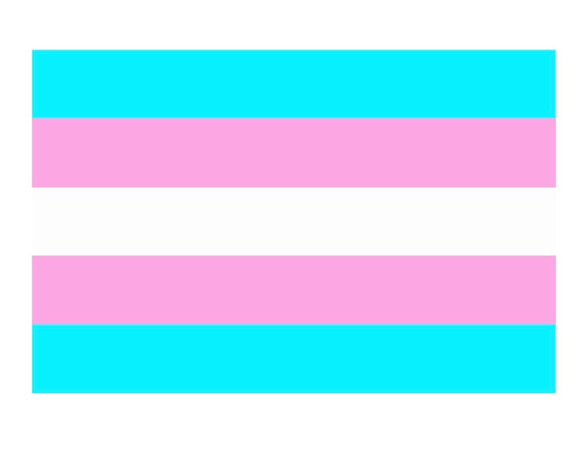 Trans Flag Sticker Trans & Proud Flag Sticker - Etsy