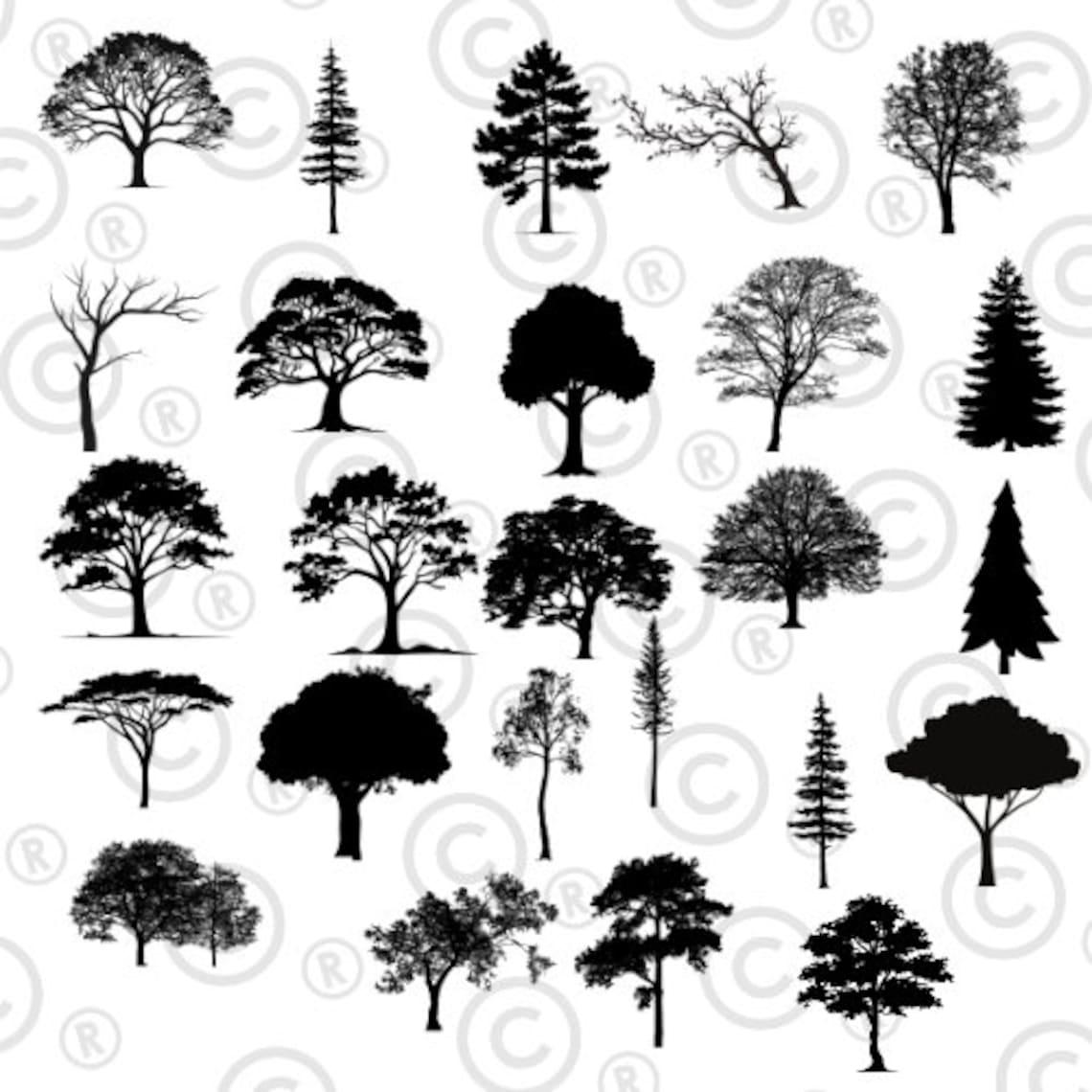 TREE SILHOUETTE SVG Bundle, Tree Cut Files for Cricut, Forest Svg Files ...