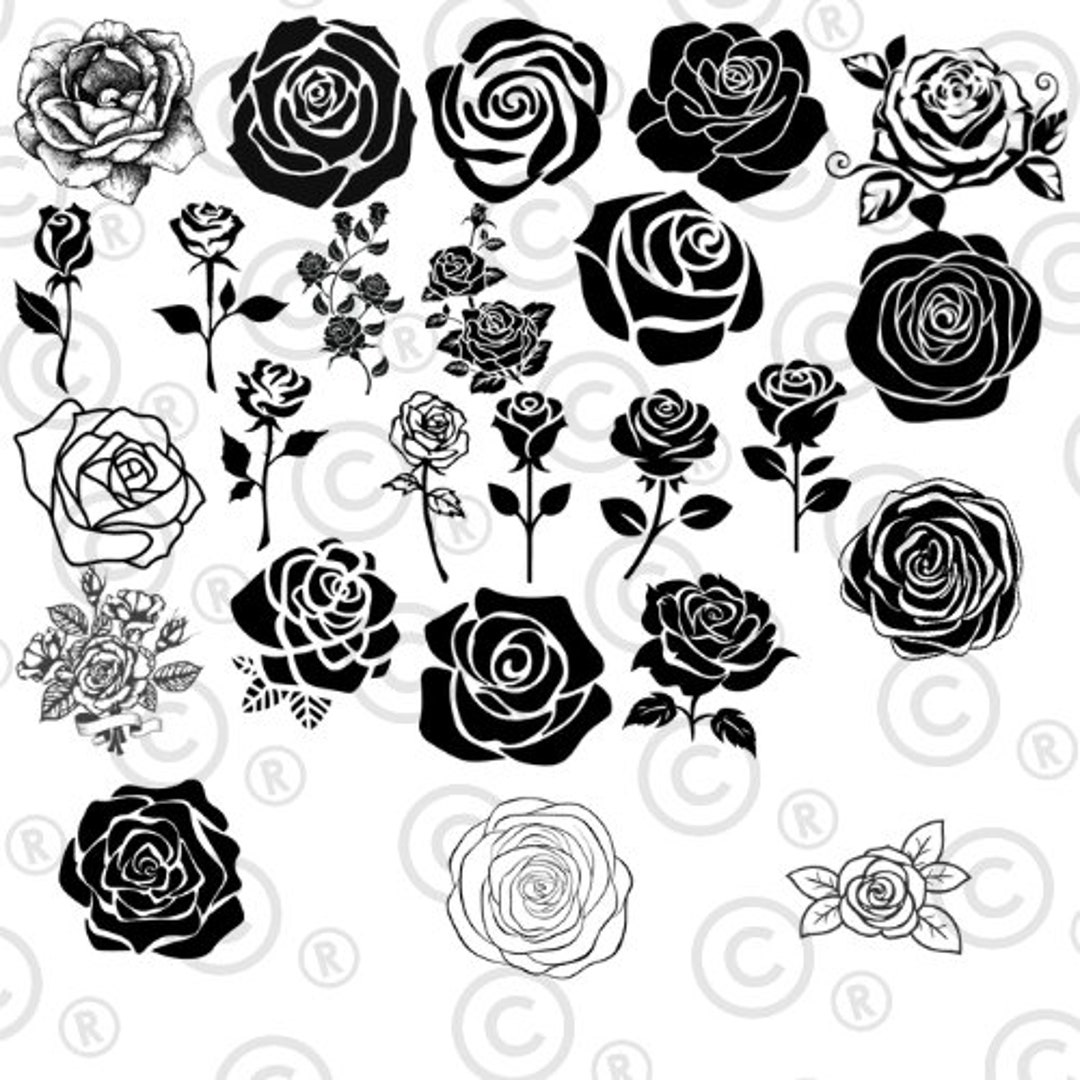 Rose Svg Bundle Roses Svg Bundle Rose Clipart Bundle Rose Svg Cut