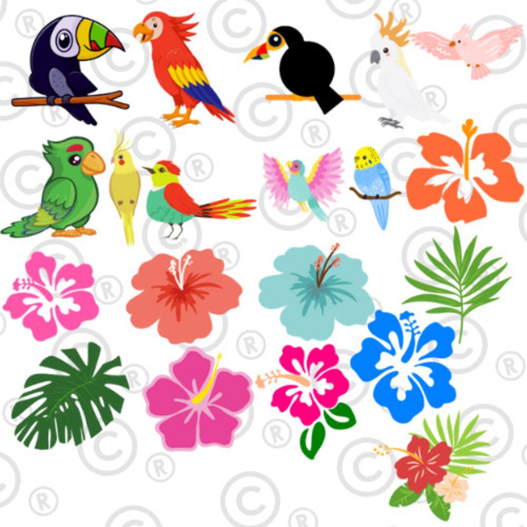 Tropical Birds Clipart Cute Birds, Parrots, Toucans, Tropical Clipart ...
