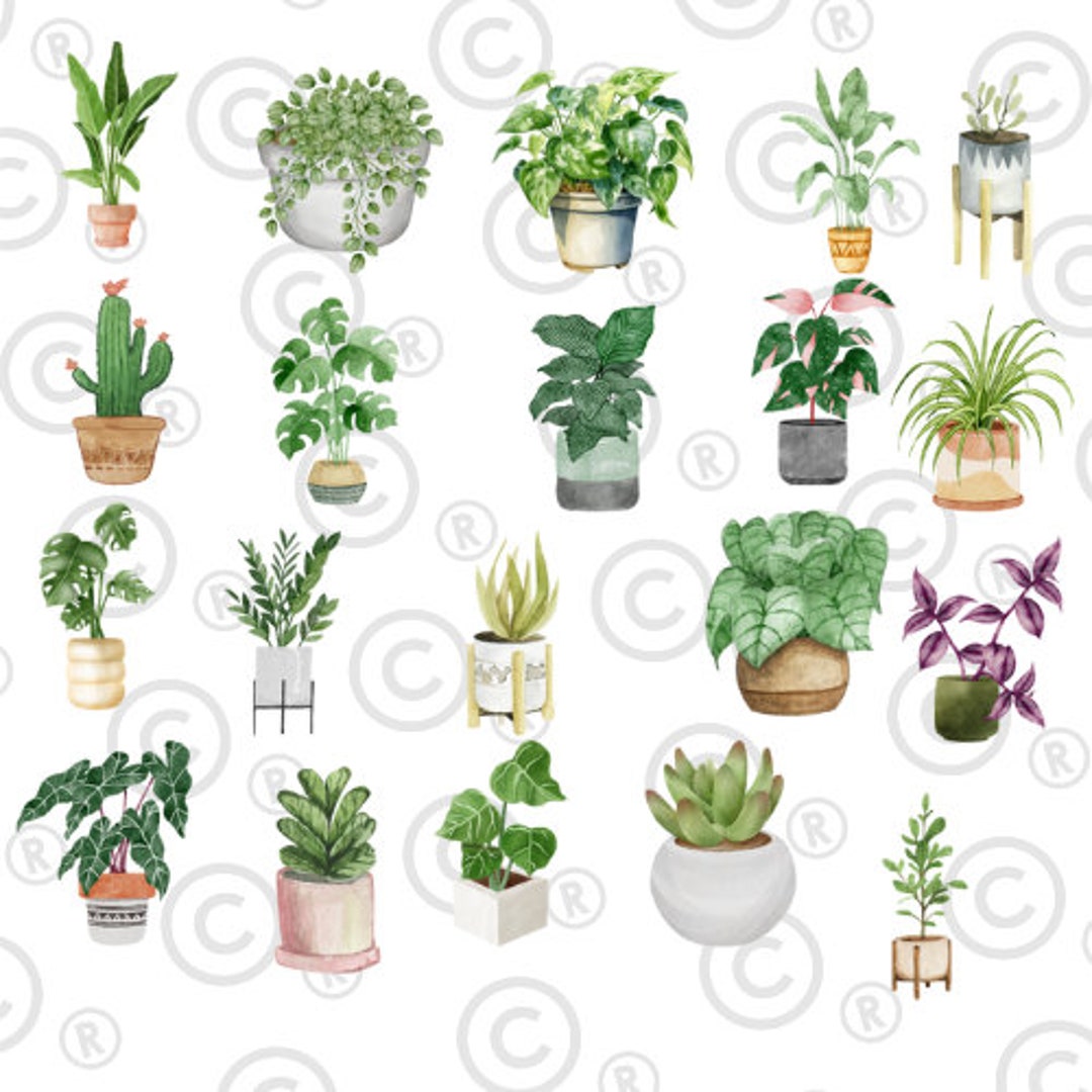 Watercolor House Plants Clipart Watercolor Gardening Download Instant ...