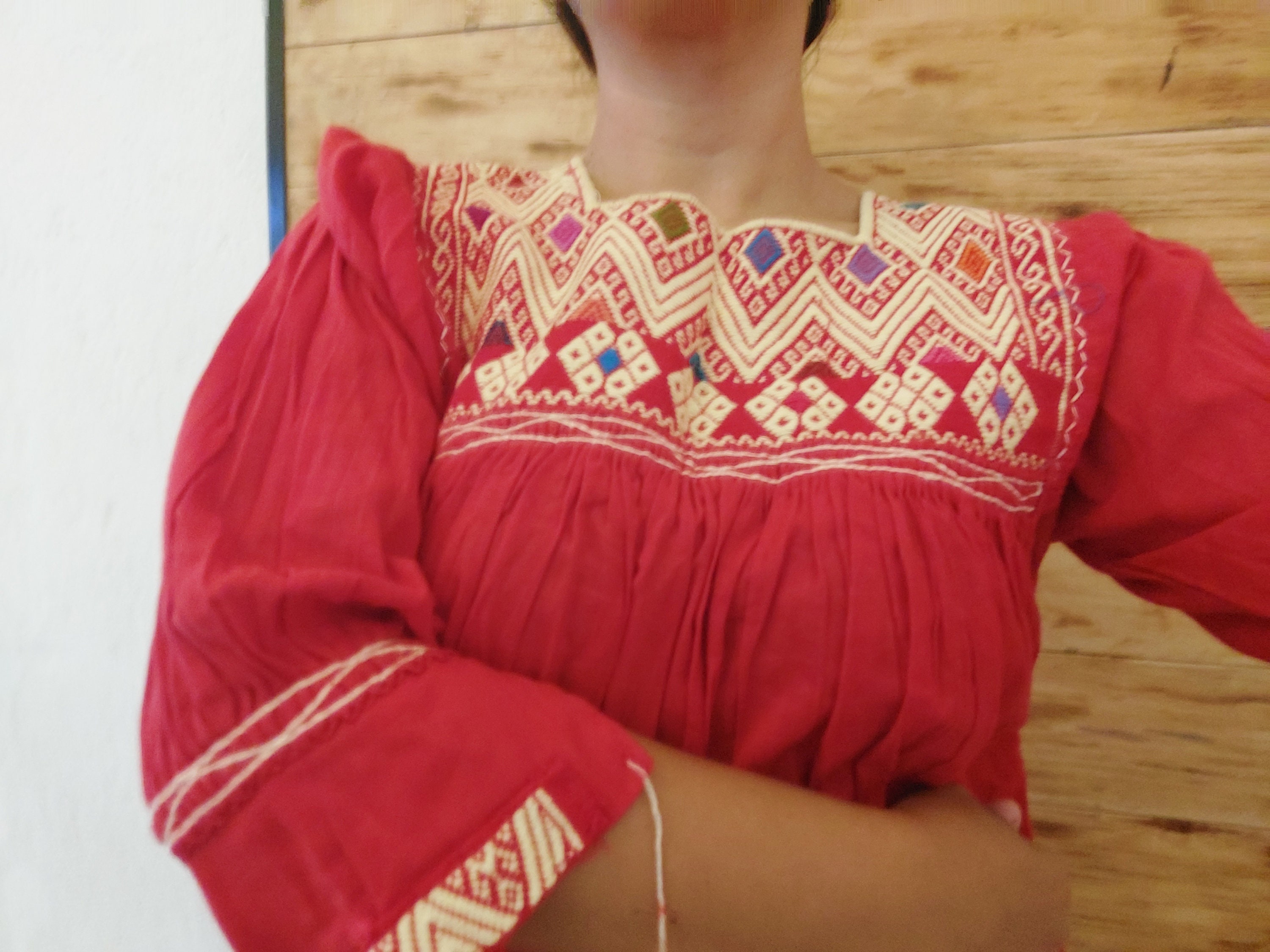 Hand Embroidered Blouse by Indigenous People From Chiapas - Etsy