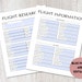 Editable Flight Planner Printable | Flight Information Sheet | Travel ...