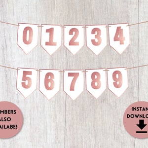 Rose Gold Banner Printable | Alphabet Letter Banner Decorations | Party ...