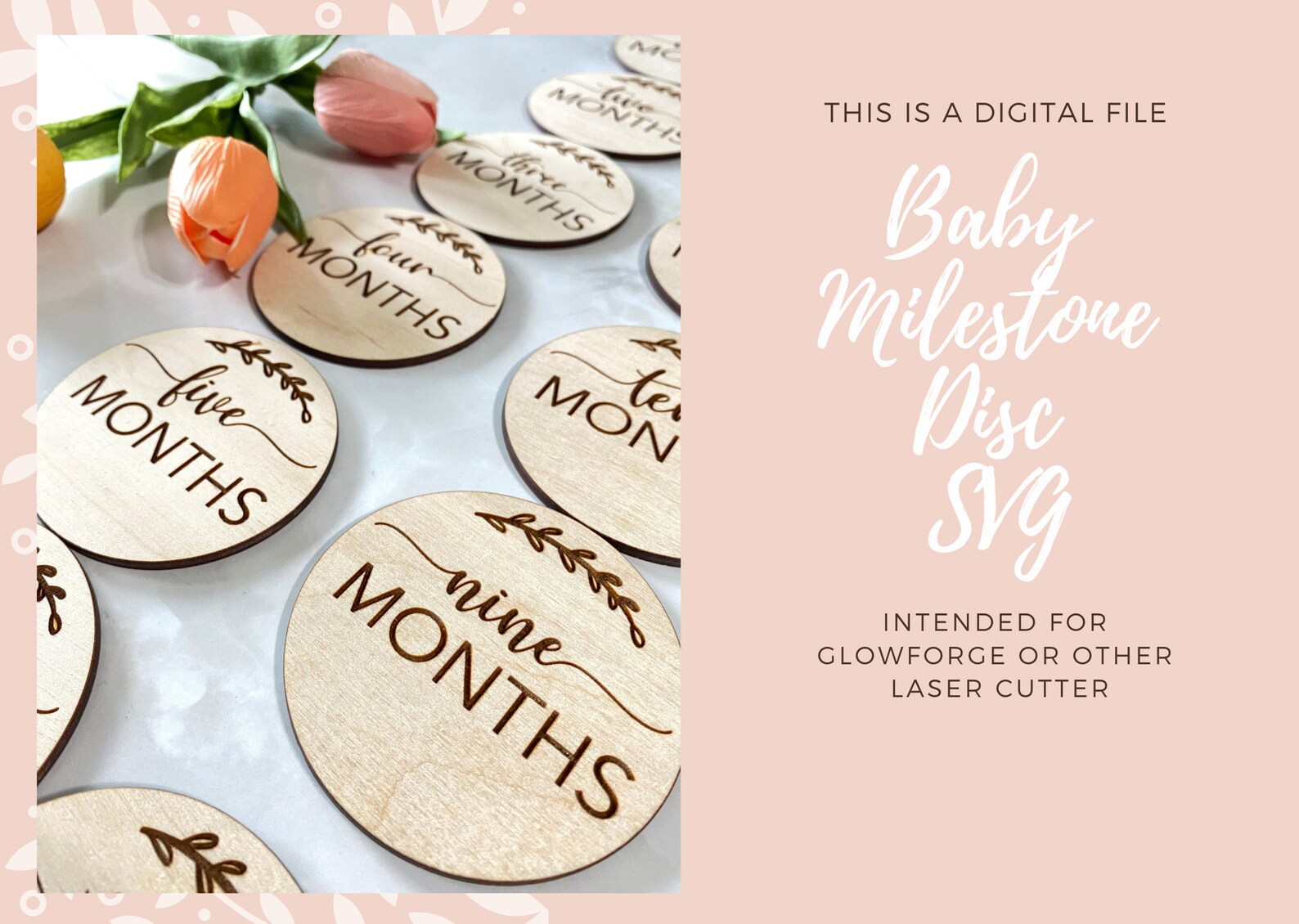Baby Milestone SVG Monthly Milestone for Baby Cut File | Etsy