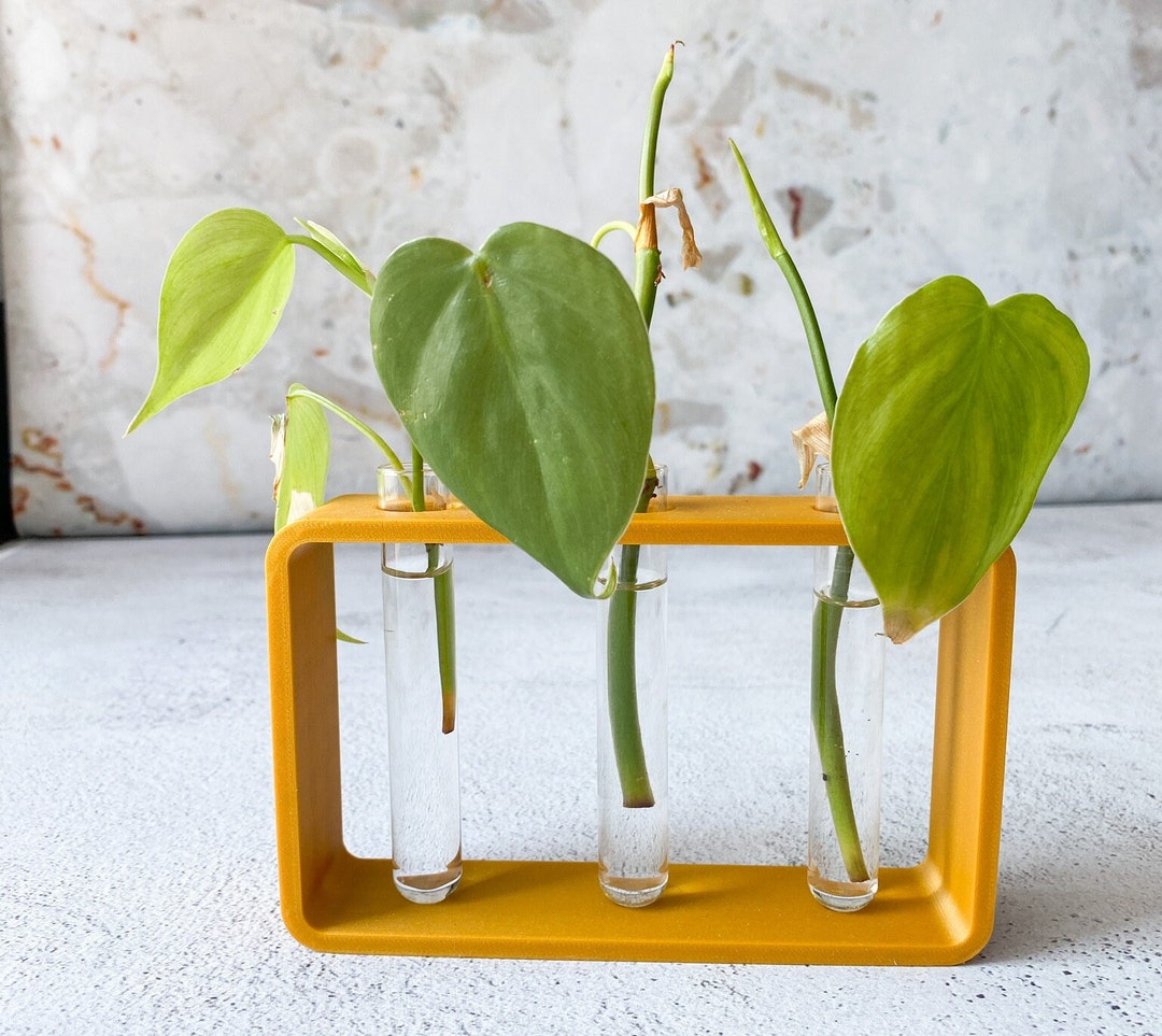 Observation Station - Triple Propagation Planter (3 Glass Tubes ...
