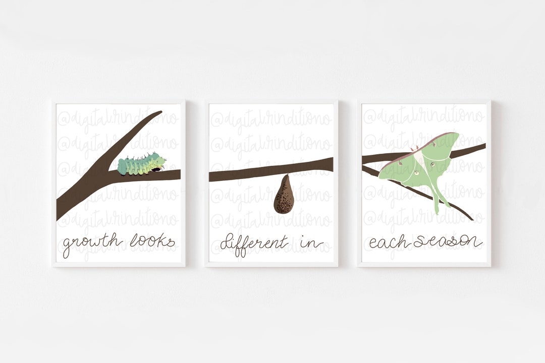 Digital Print: Seasons of Life Collection - 3 Piece Set - 12x16 - Etsy