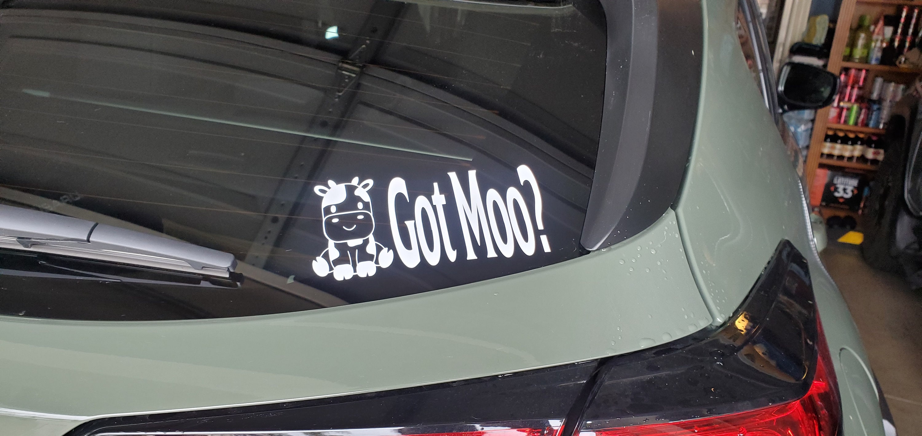 Got Moo Moo Moo Subaru Decal What Better Way to Show Your Moo Love - Etsy