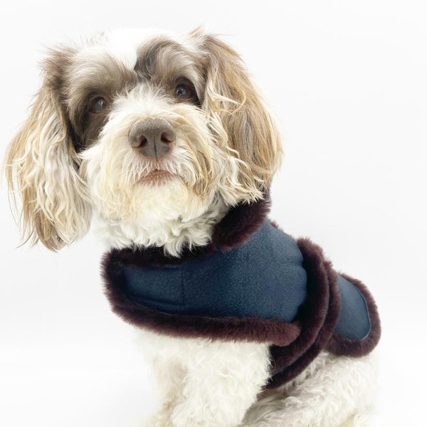 Shearling Dog Coat - Etsy