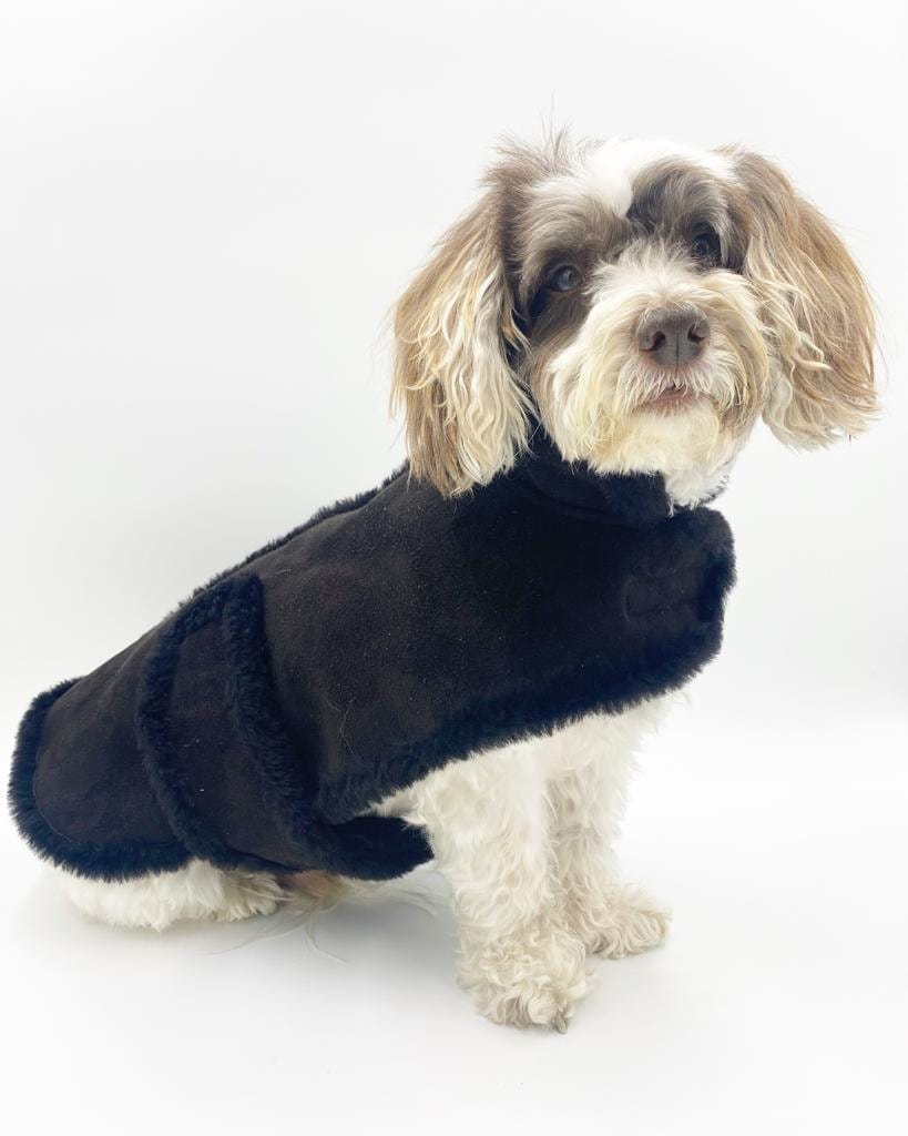 Shearling Dog Coat - Etsy