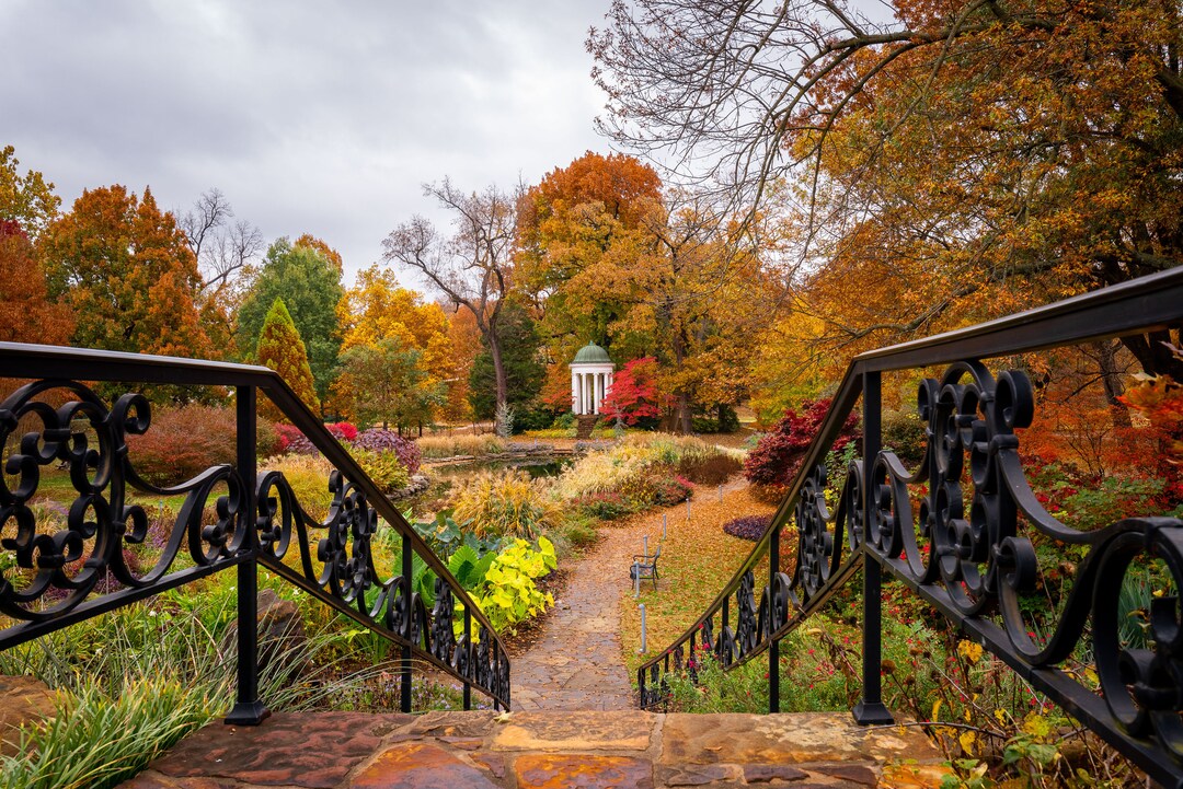 Tulsa Oklahoma Wall Art Philbrook Museum; Midtown Tulsa; Architecture ...