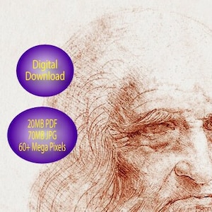Leonardo Da Vinci's Self-portrait | Man in Red Chalk | High Quality ...