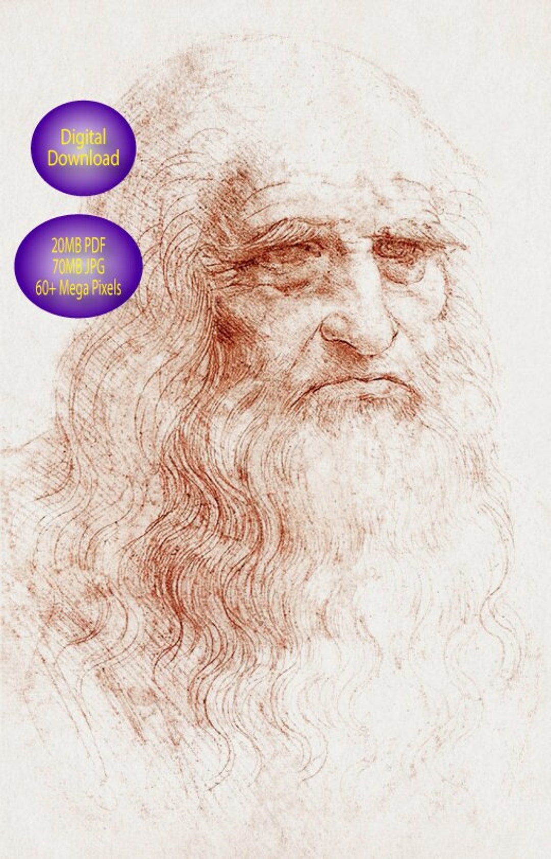 Leonardo Da Vinci's Self-portrait | Man in Red Chalk | High Quality ...
