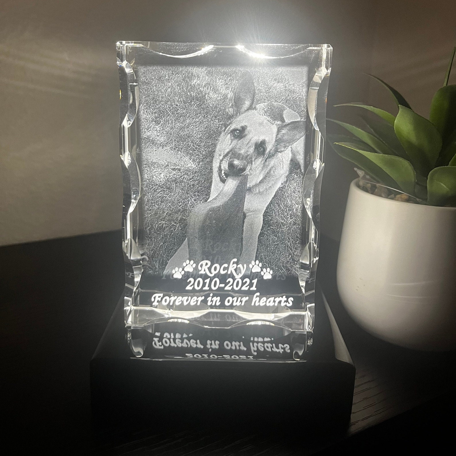 Pet Memorial Crystal, Personalized Gift, Pet Loss, Pet Memorial, Glass ...