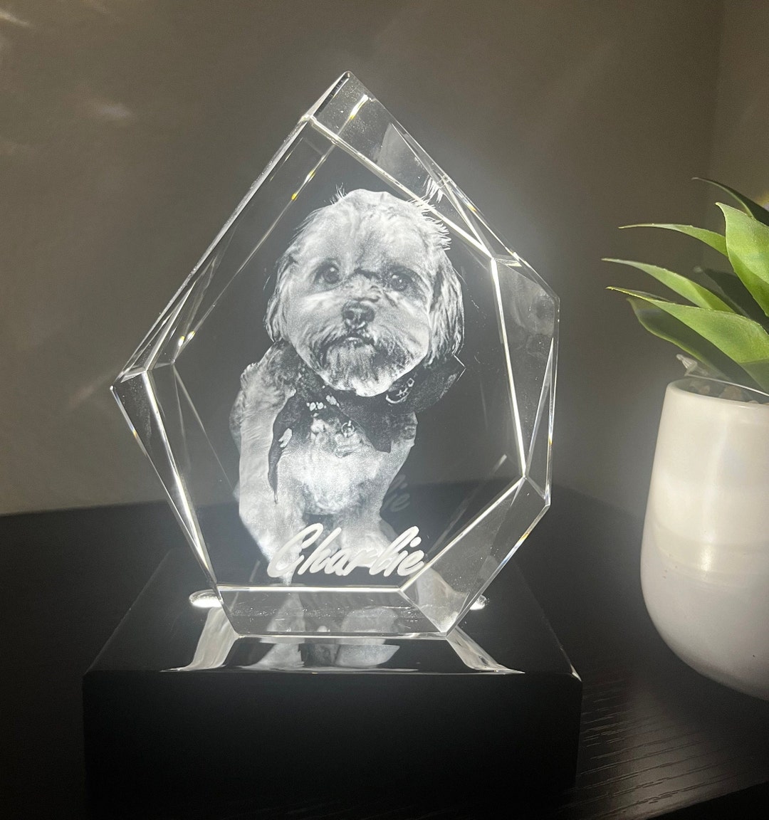 3D Prestige Crystal + Light Base - Etsy