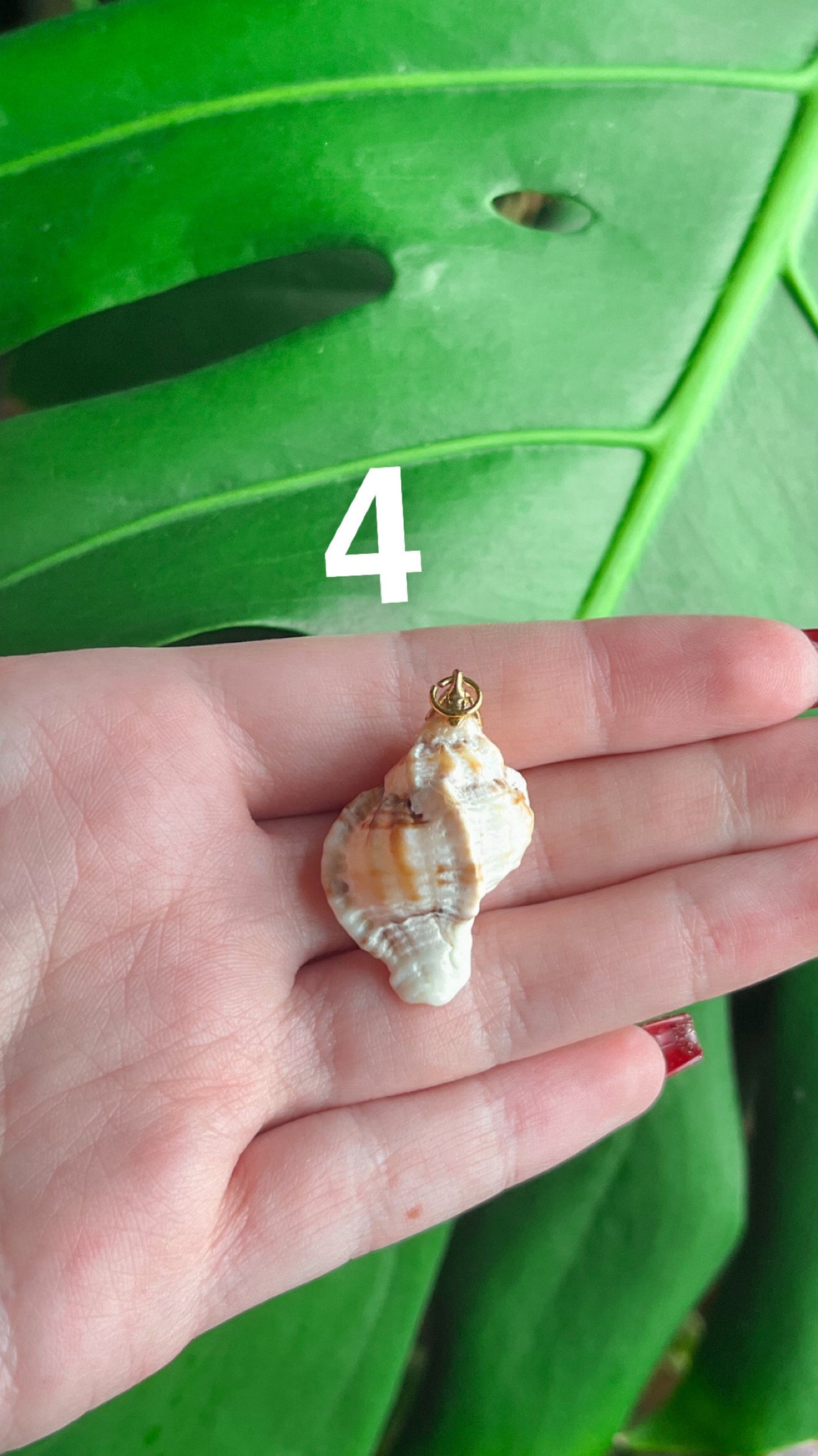 Shell Charm Gold Necklace Beach Jewelry Antique Necklace Large Shell ...