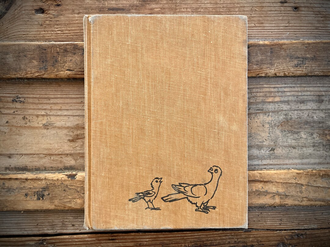 1969 Fly Homer Fly by Bill Peet, 1st Printing, HC, Illustrated, Vintage ...