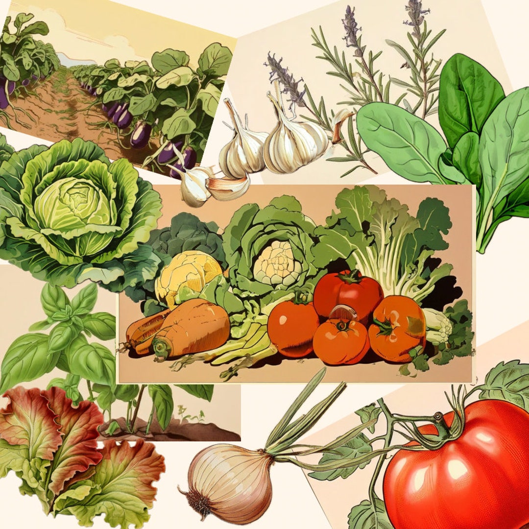 VEGETABLES & HERBS 250+ Botanical Printable Images for Junk Journal ...