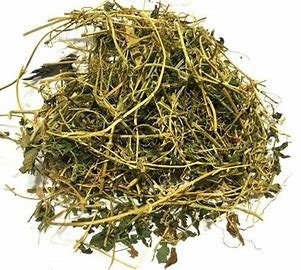 Cerasee Corella Bitter Melon Bush Tea No Chemicals/pesticides 15g - Etsy