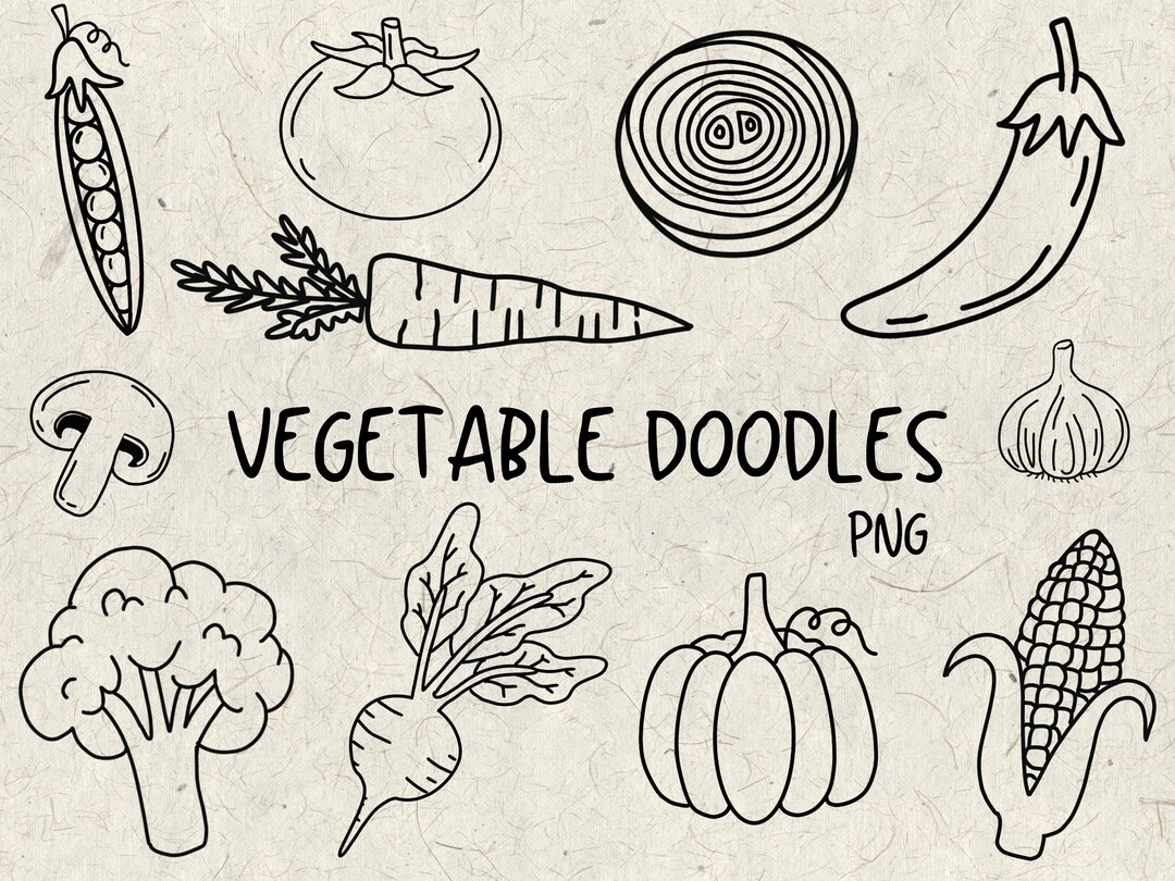 Vegetable Doodles Hand Drawn Veggie Doodles PNG Digital Downloads ...